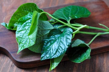 Wild Pepper Leaves | Bai Cha Plu | ชะพลู - Rachel Cooks Thai