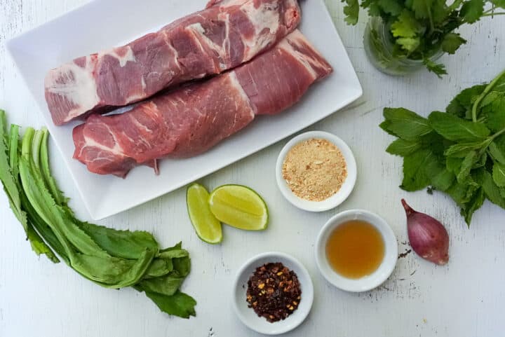 Moo Nam Tok (Thai Grilled Pork Salad) - Rachel Cooks Thai