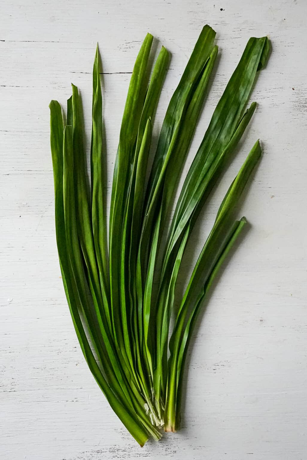 Pandan Leaves | Bai Tuey | ใบเตย - Rachel Cooks Thai