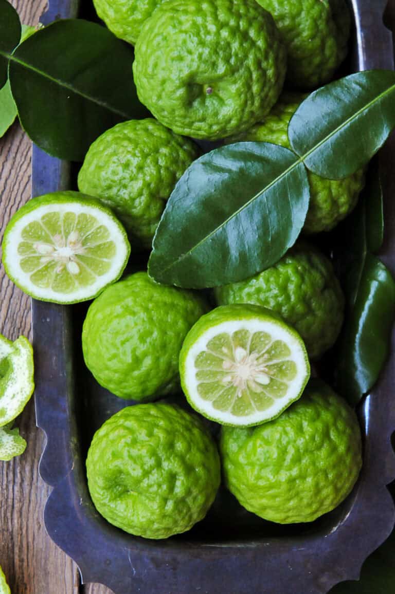 Makrut Lime Leaves (Kaffir Lime Leaves) - Rachel Cooks Thai